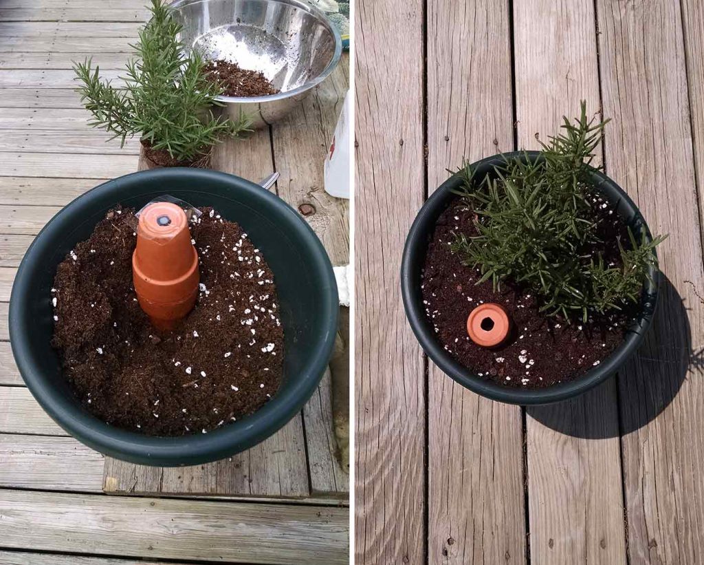 How to Make DIY Olla Pots - SproutedGarden.com