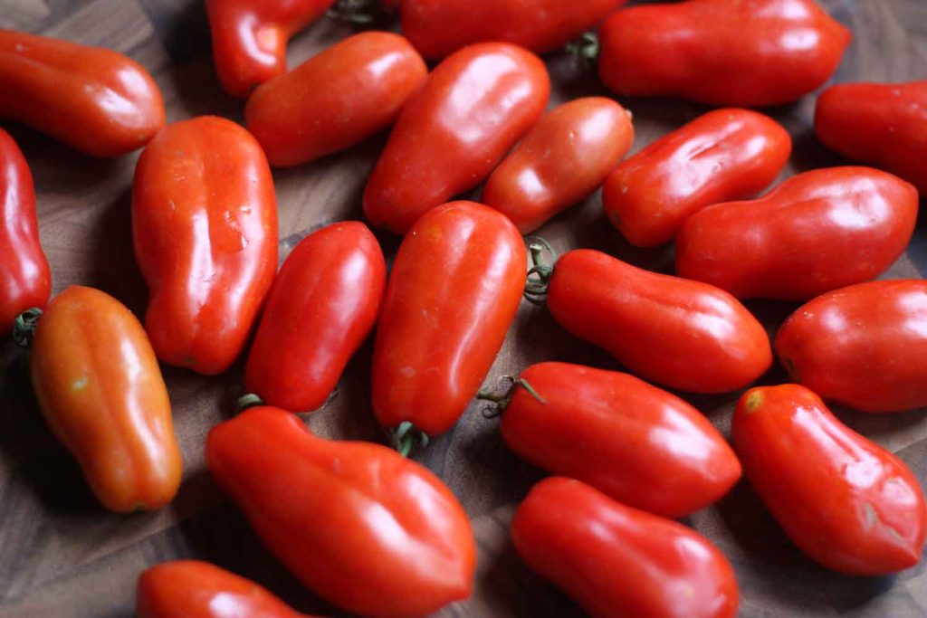 Determinate vs. Indeterminate Tomato Plants