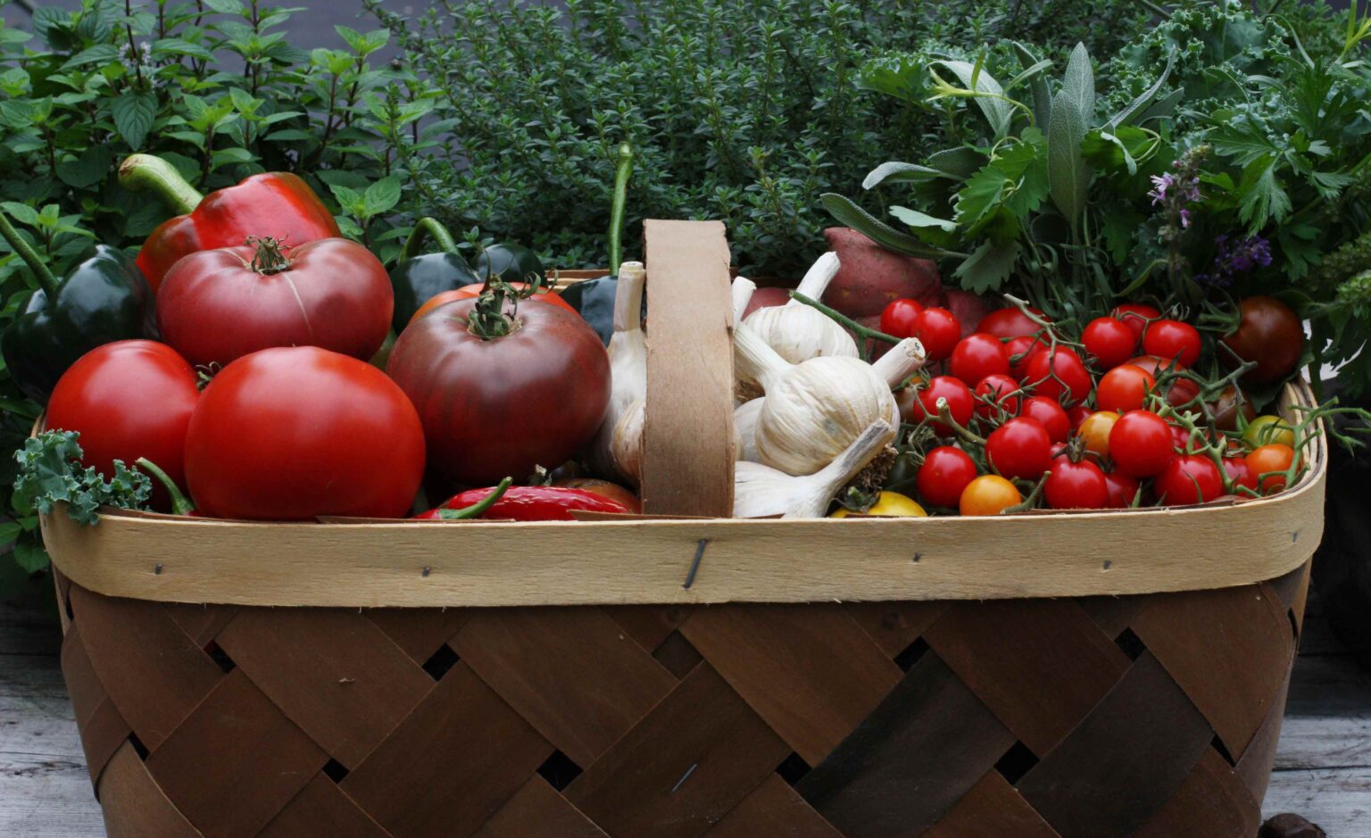 The Back-to-Basics Pantry Garden - SproutedGarden.com